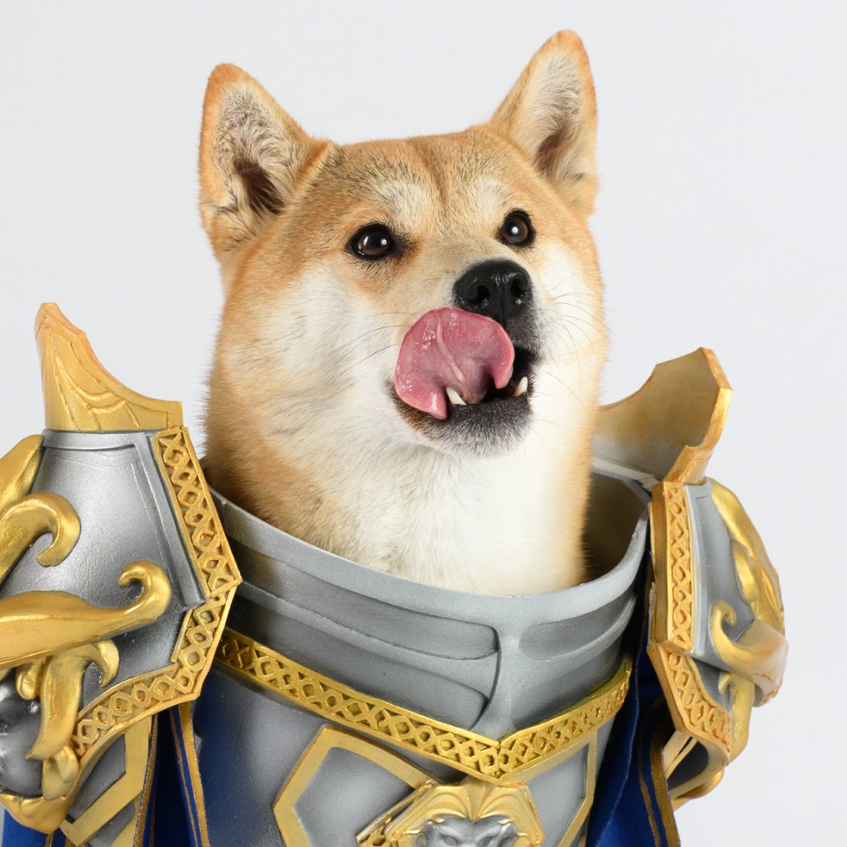 World Of Warcraft Doge