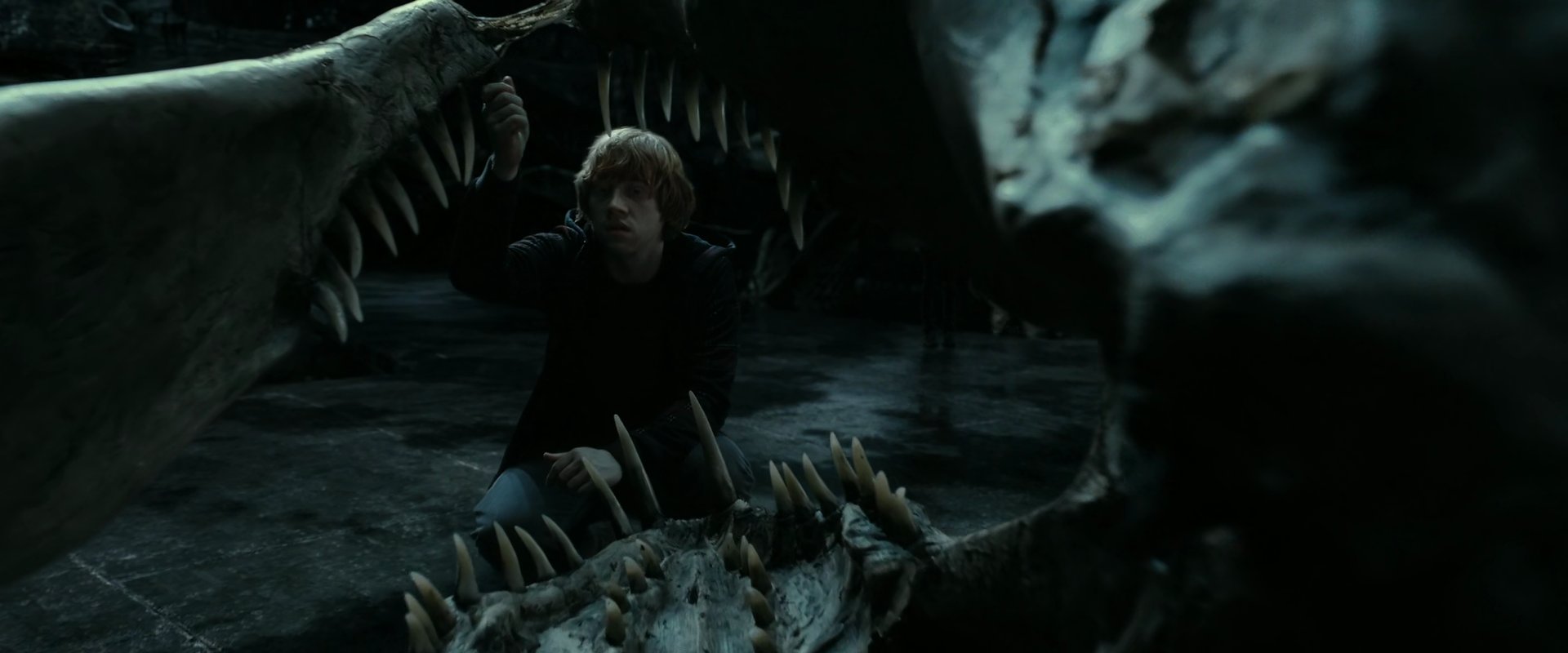 Basilisk Skeleton Harry Potter Thomas Mack On X: "#Svalgur, The