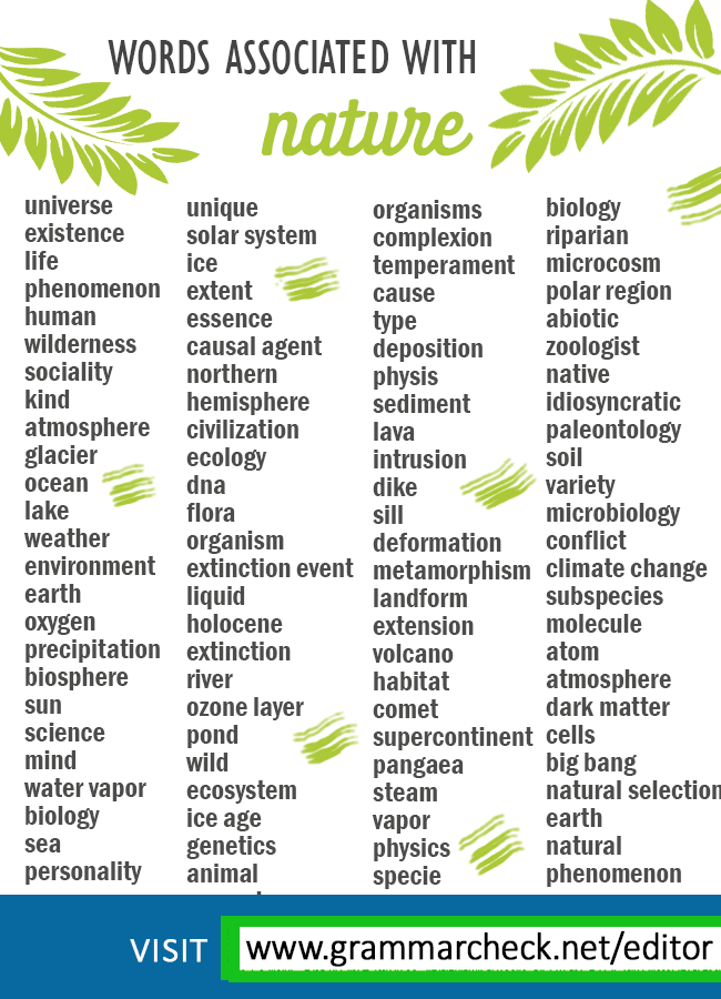 Polar Biology Vocabulary