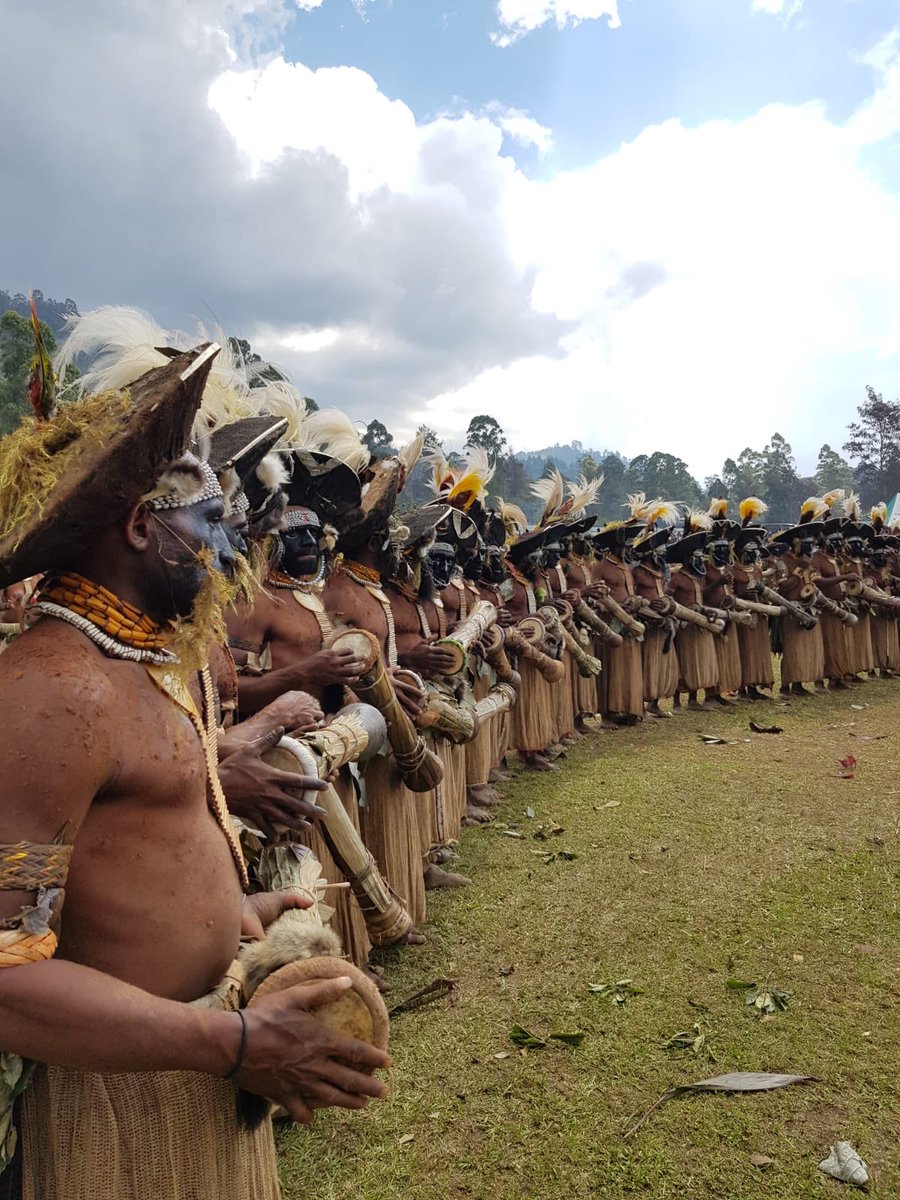 Yesi Pan (@TrionCapital) | Twitter