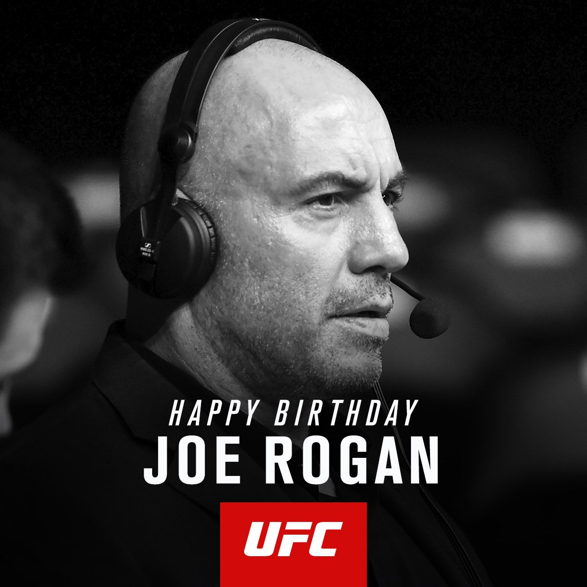 Joe Rogan Quotes On Happiness