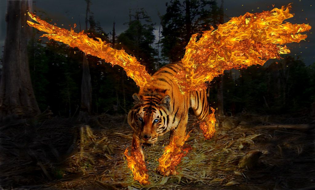 J.Q. Baldwin (@jq_baldwin) | Twitter