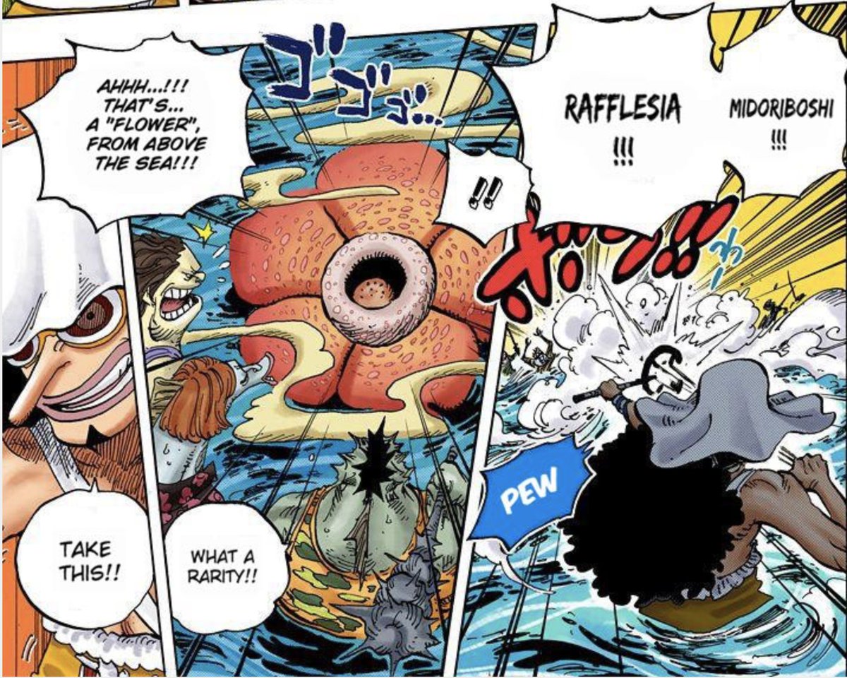 Do you think that if oda gave usopp a gun from the beginning but ...