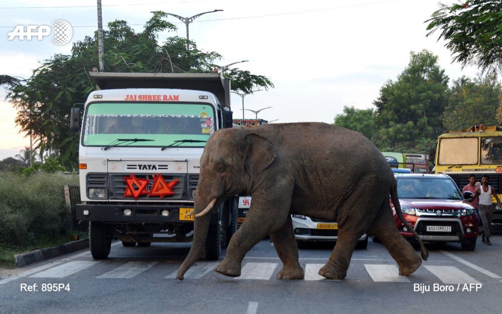 jad eid (@jadceid90) | Twitter