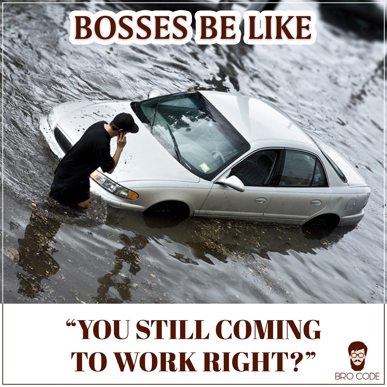 Chillin Like A Boss Meme