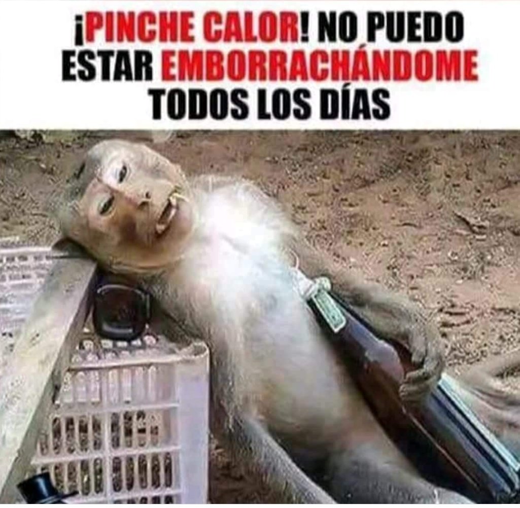 Que Pinche Calor