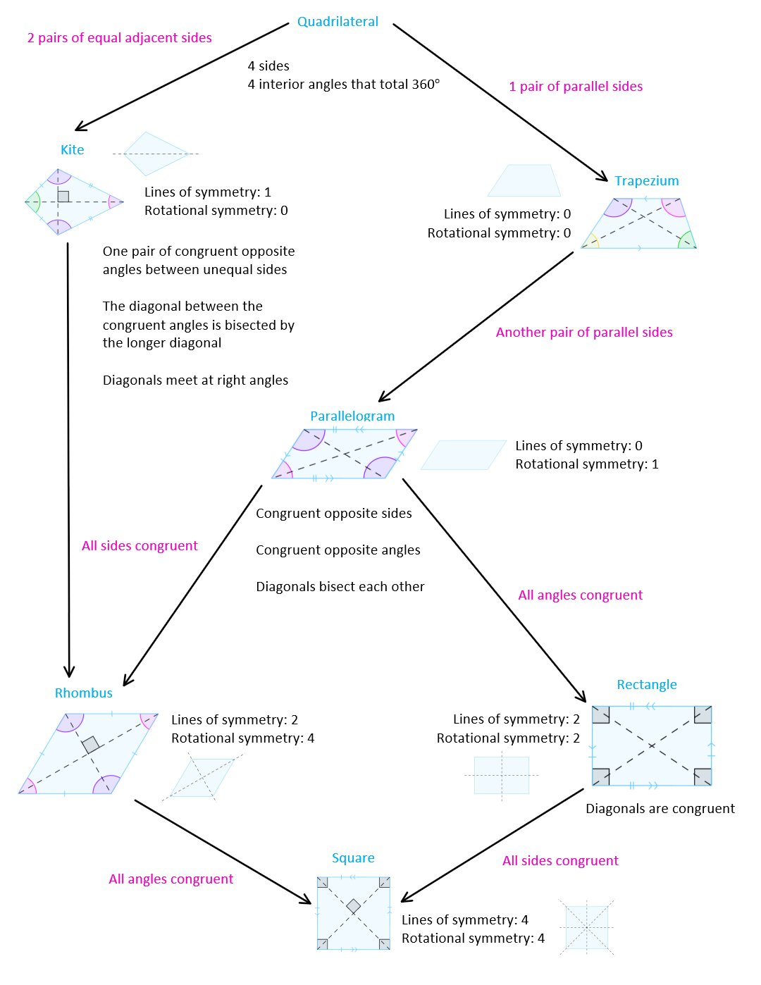 Quadrilateral Flow Chart Foldable Friday: Quadrilaterals | Technically