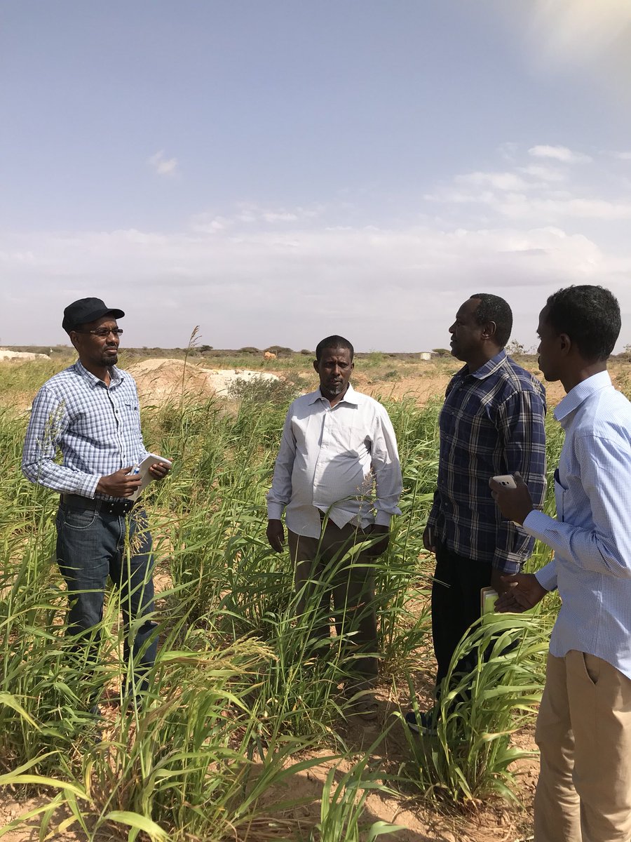 Ubaid Isse (@roobleraaf) | Twitter