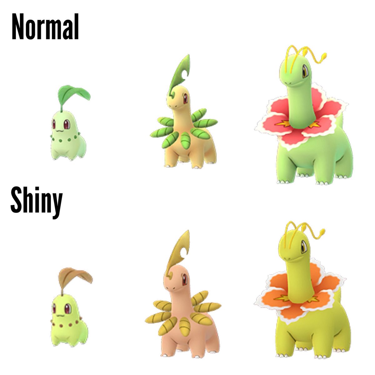 Shiny Chikorita Evolutions