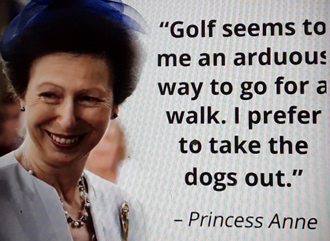 Princess Anne's Birthday Celebration | HappyBday.to