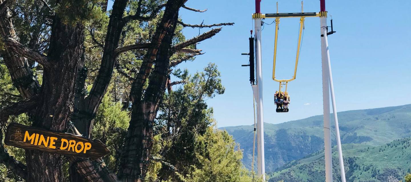 Colorado Alpine Swing