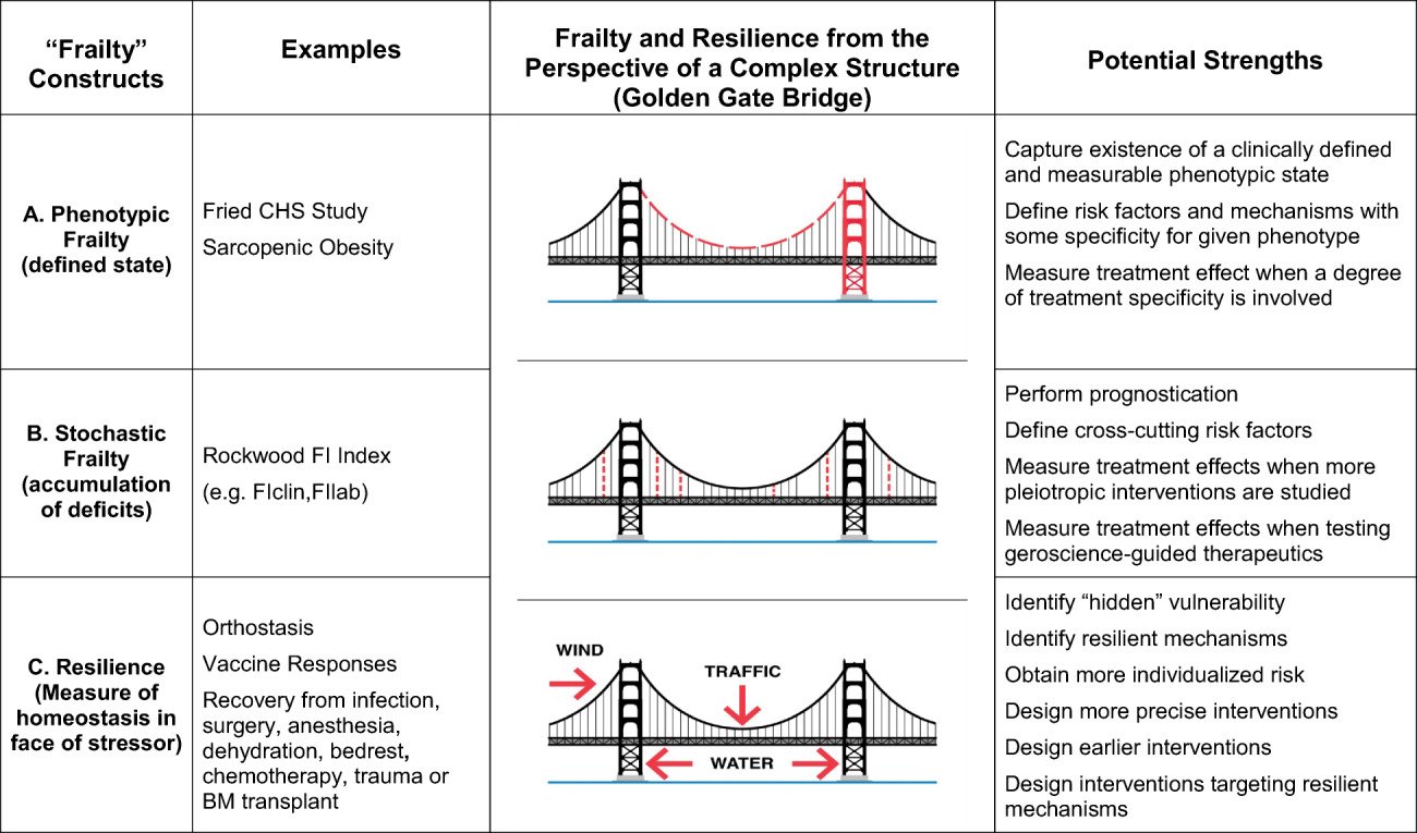 Humber Bridge Vs Golden Gate
