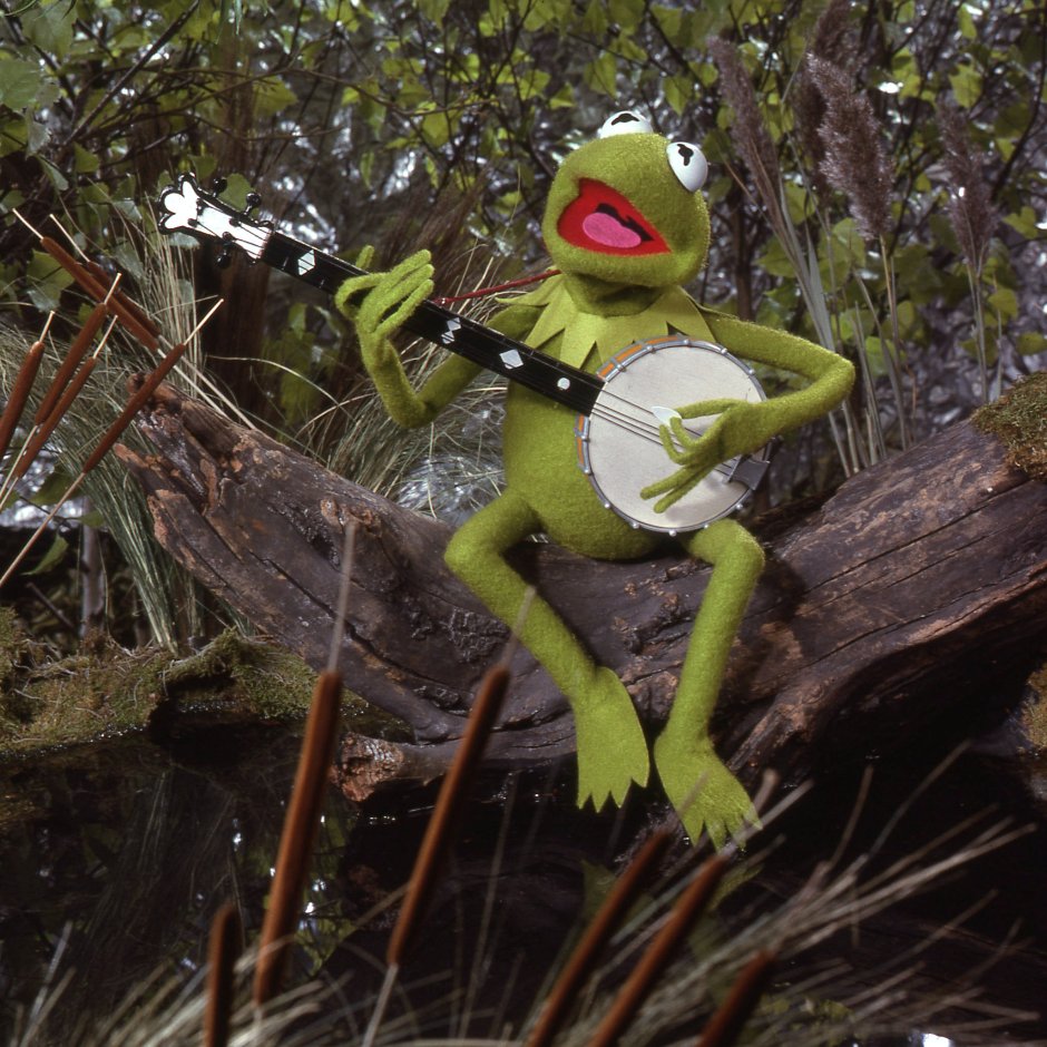 Kermit Playing Banjo