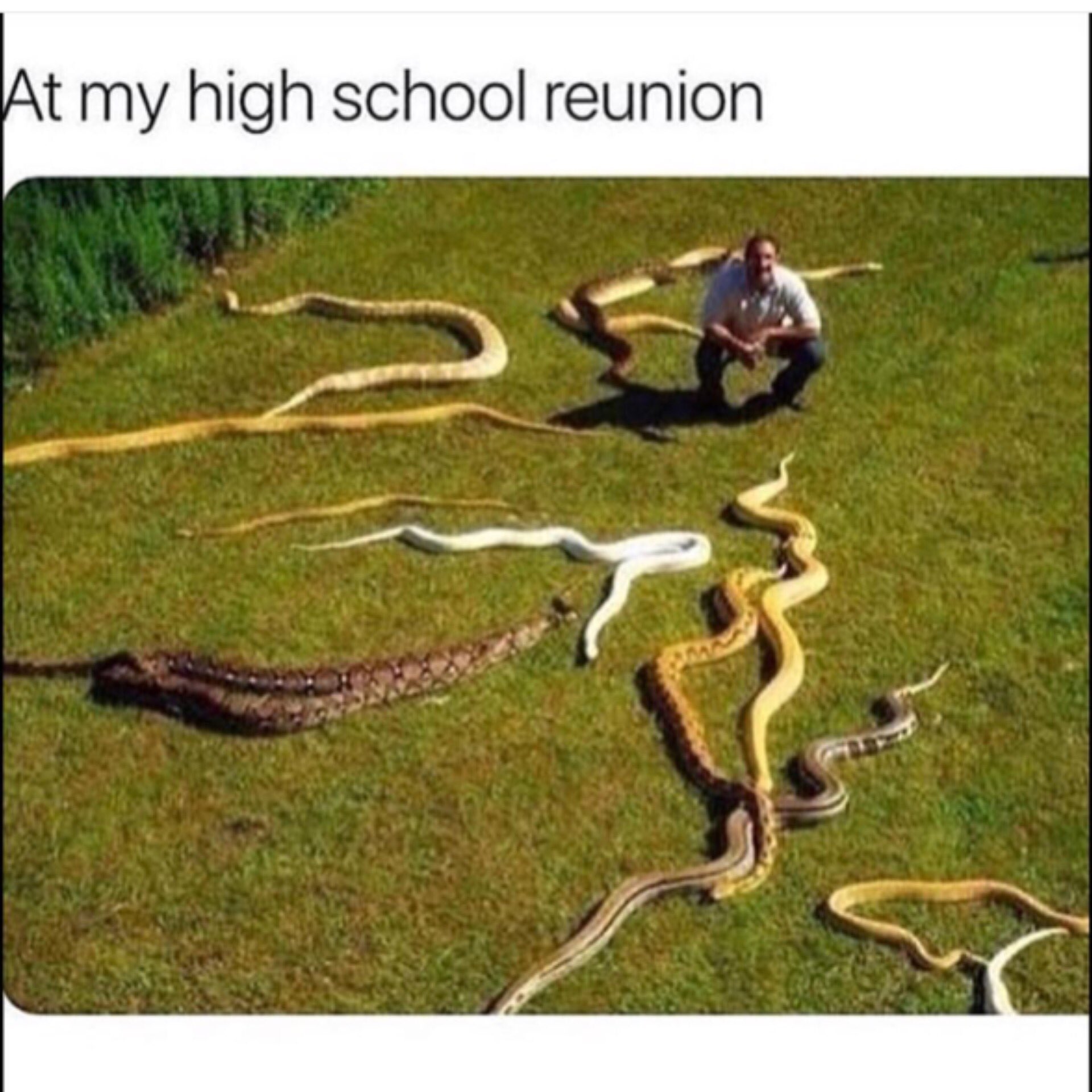 High School Reunion Meme 20 40 Year Class Reunion Ideas | Class