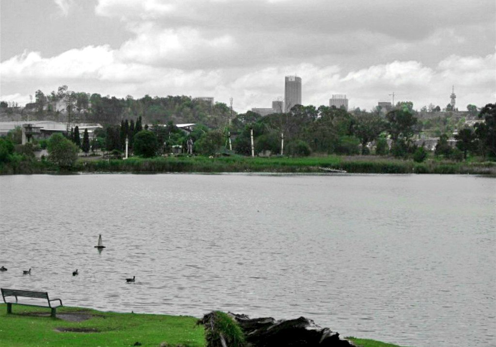 Wemmer Pan 43 Visitors, 53% OFF | www.yakimankagbu.ru