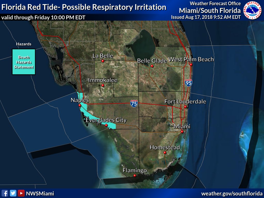 Breakout of harmful red tide algae spreads throughout Florida waters