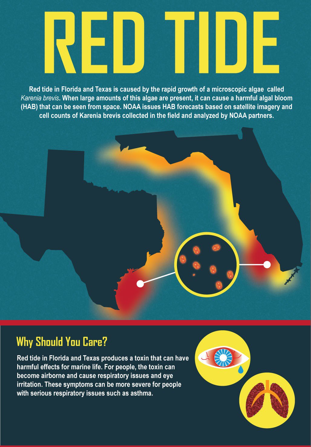 Red Tide Symptoms