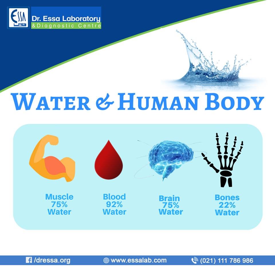 Average Total Body Water