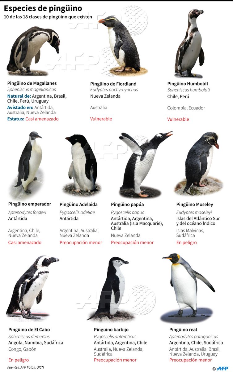 🐧 #infografÍa características de 10 especies de pingüino de las 18 que ...