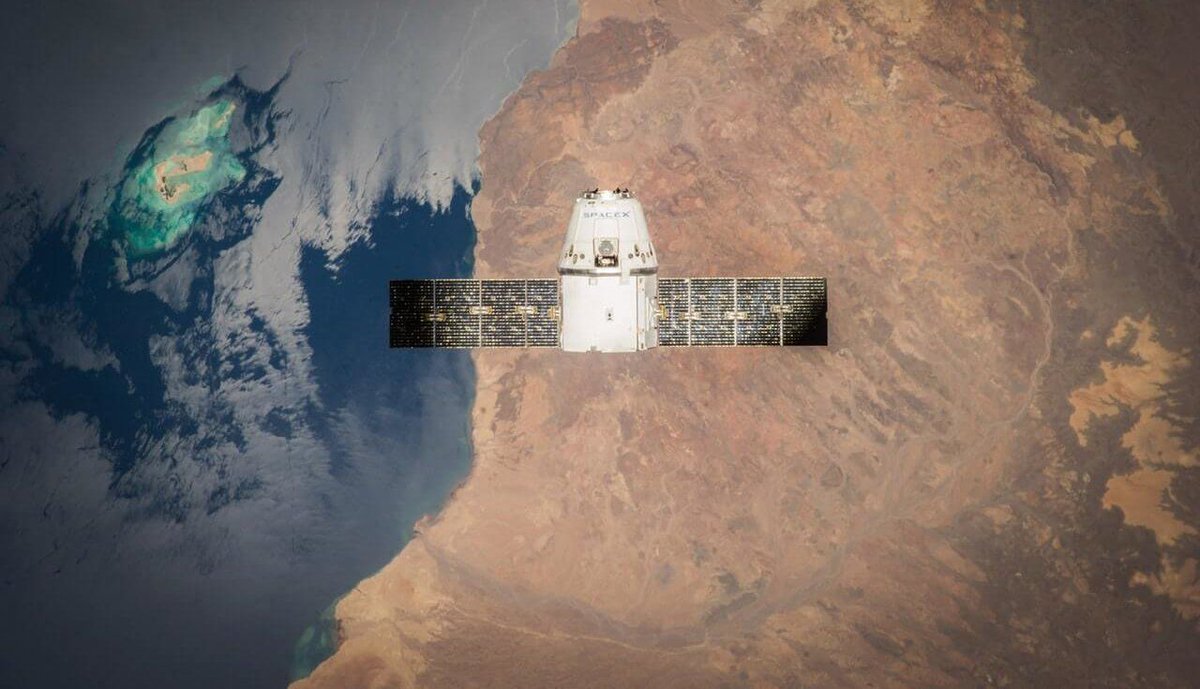 noam segal (@noam_segal) | Twitter