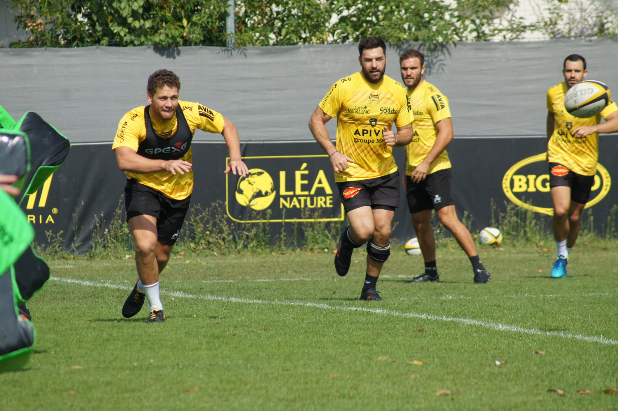 Stade Rochelais on Twitter: Stade Rochelais on Twitter: