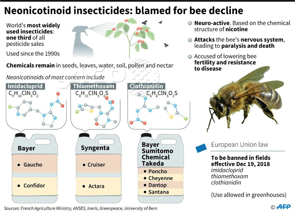 France is leading the fight to save the humble bee as it is poised to ...
