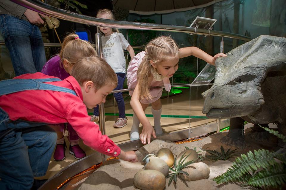 State Darwin Museum on Twitter: "#1сентября #Дарвиновскиймузей дарит #бесплатный вход в ...