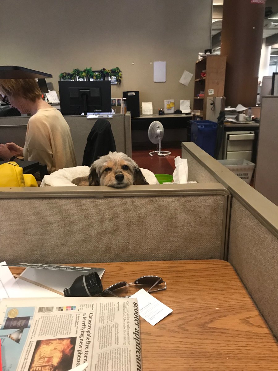 1 best Twitter Meganrcassidy images on Pholder | Cubicle neighbor ...