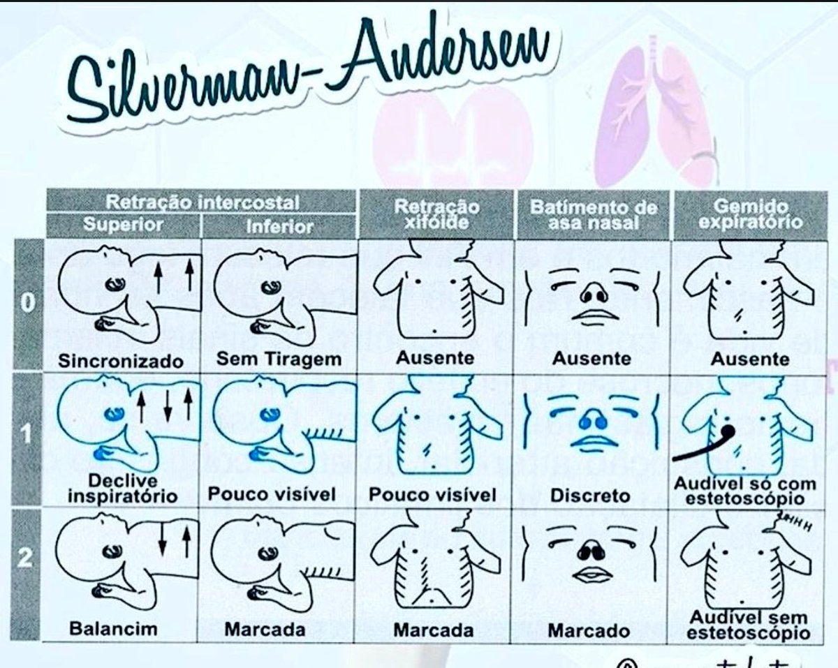 Boletim De Silverman Andersen - RETOEDU