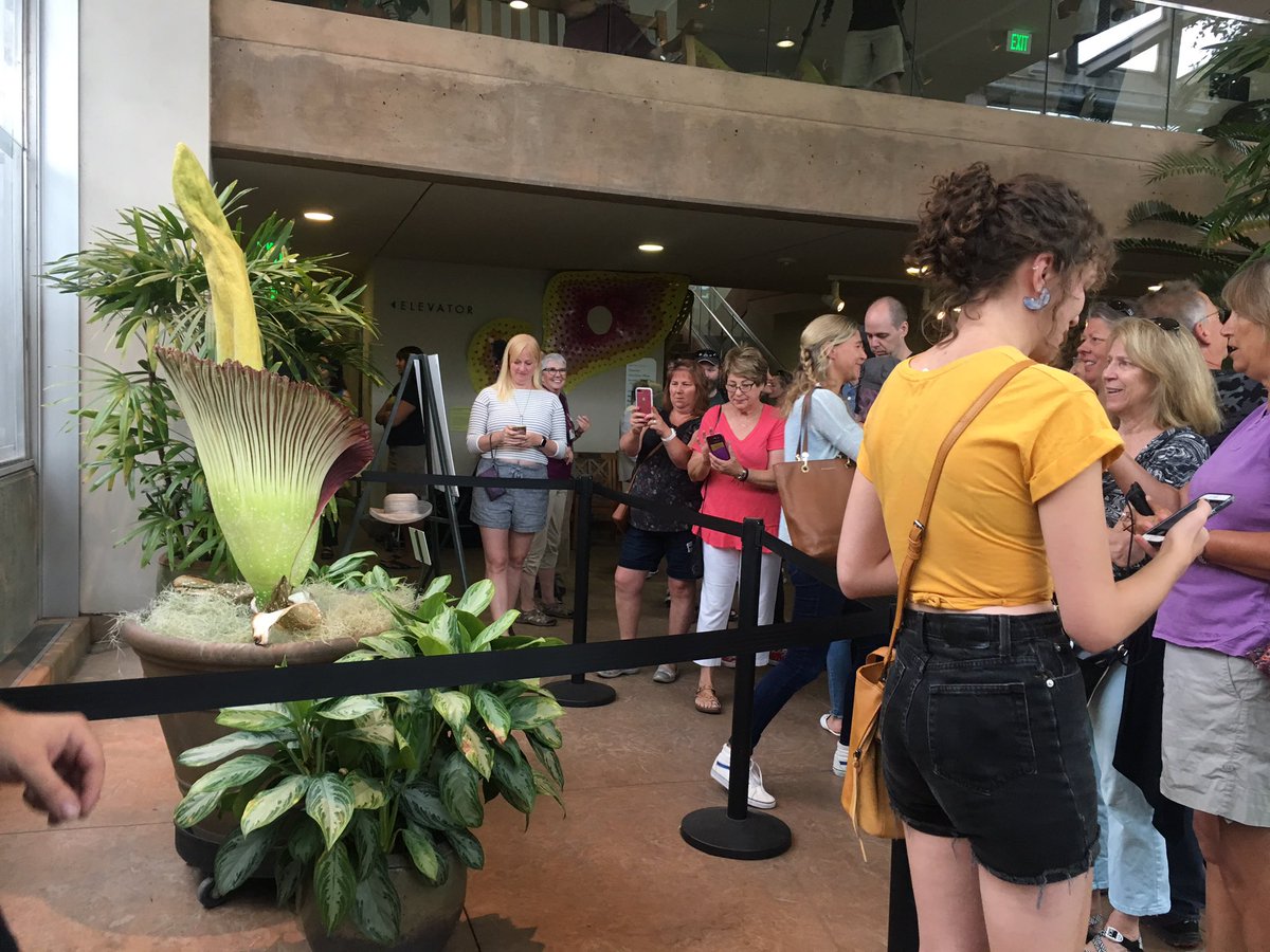 Elizabeth Hernandez on Twitter: "Emily Moncrief left the room waving her hand in front of her ...