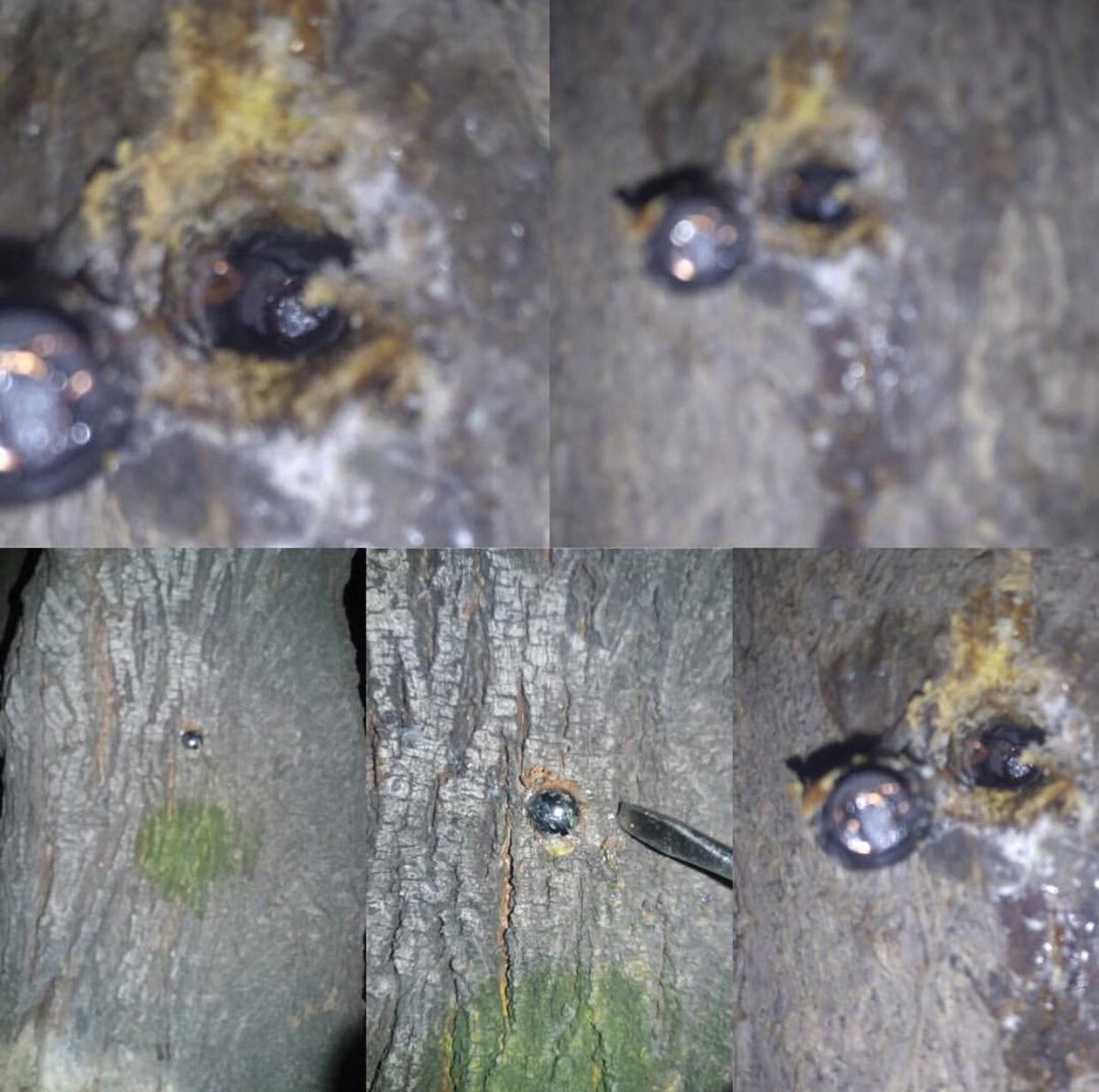 farbod e g (@farbodeg) | Twitter