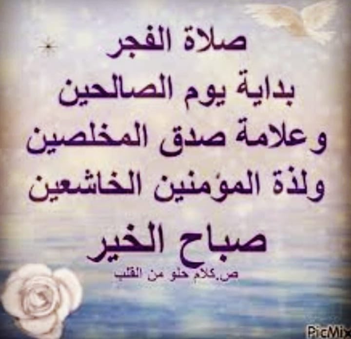 Ayed Bin ali (@Ali16Ayed) | Twitter