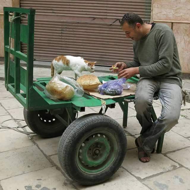 Sameh_adel (@Samehad80887446) | Twitter