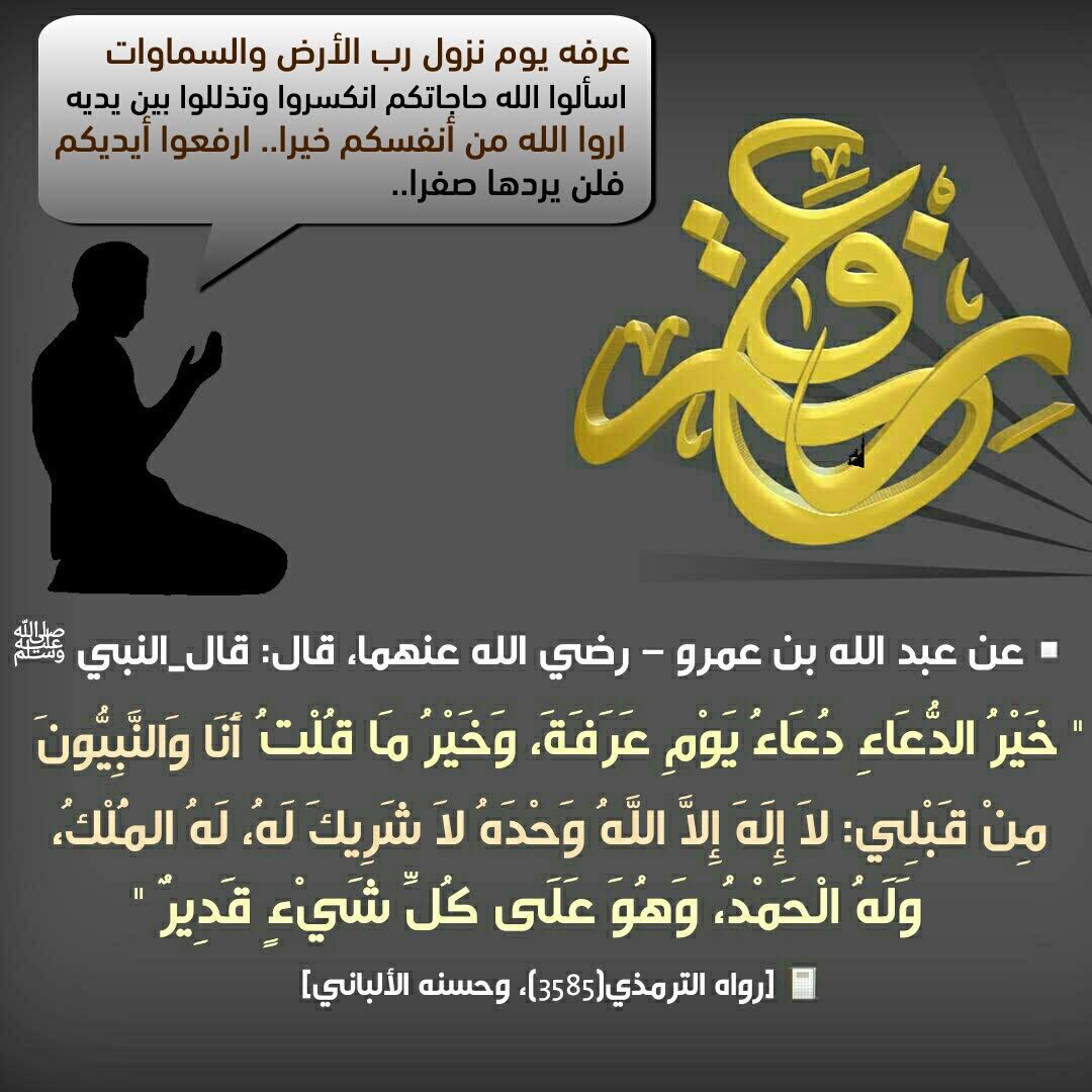 Ayed Bin ali (@Ali16Ayed) | Twitter