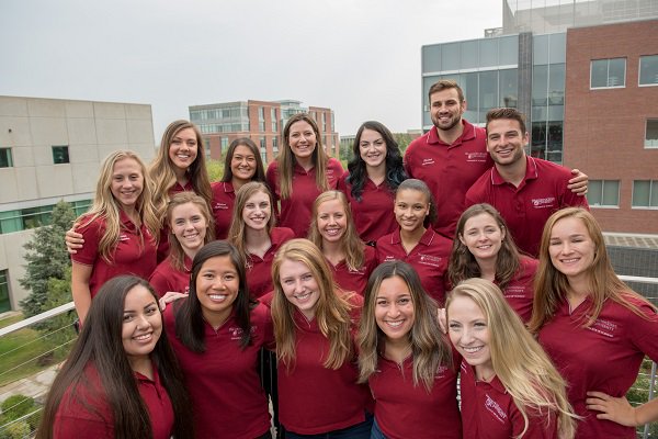 Wsu College Of Nursing