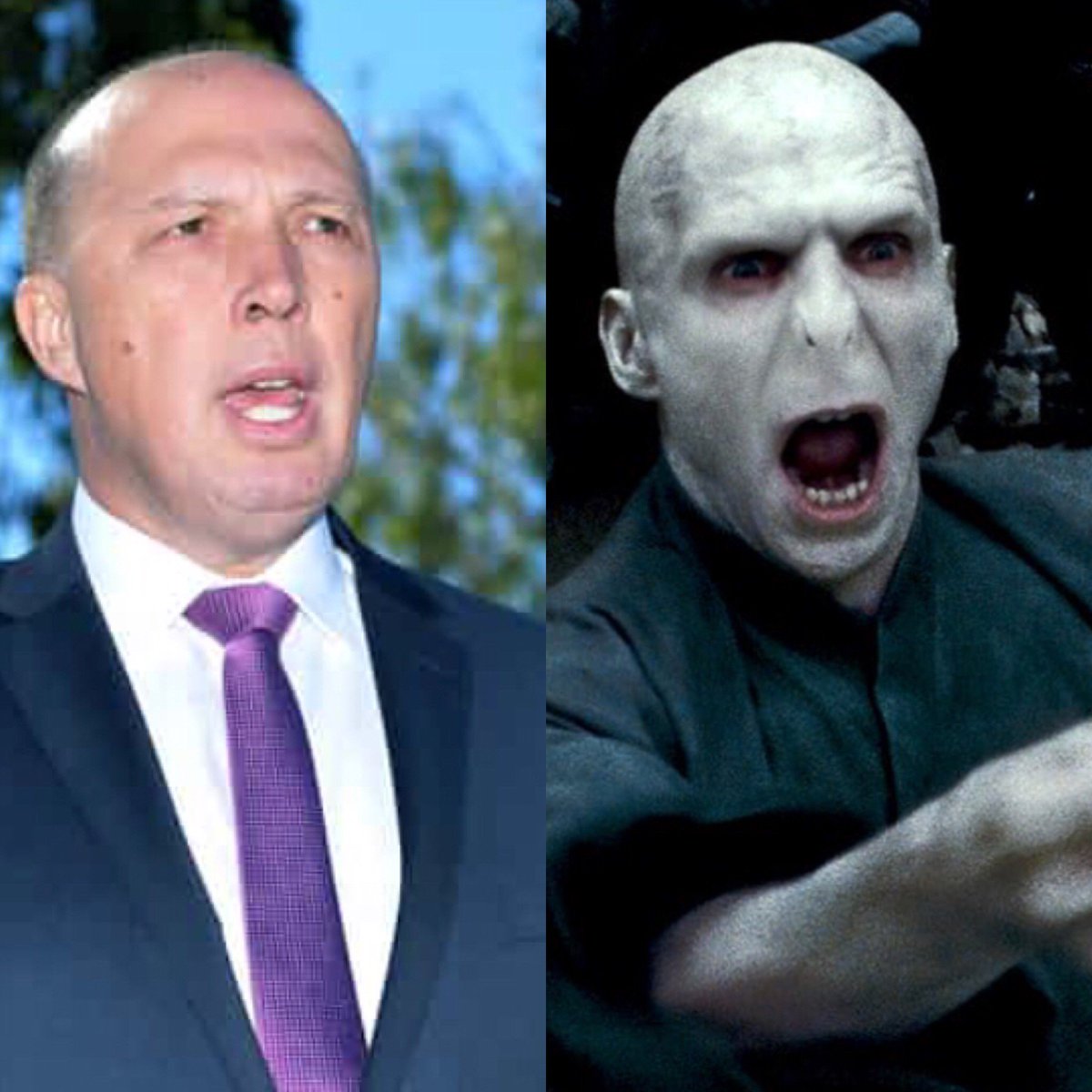 Peter Dutton aka henceforth as Voldemort