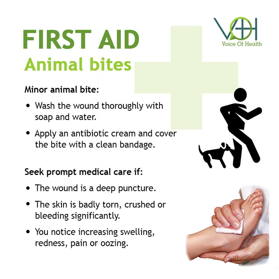Dog Bite First Aid