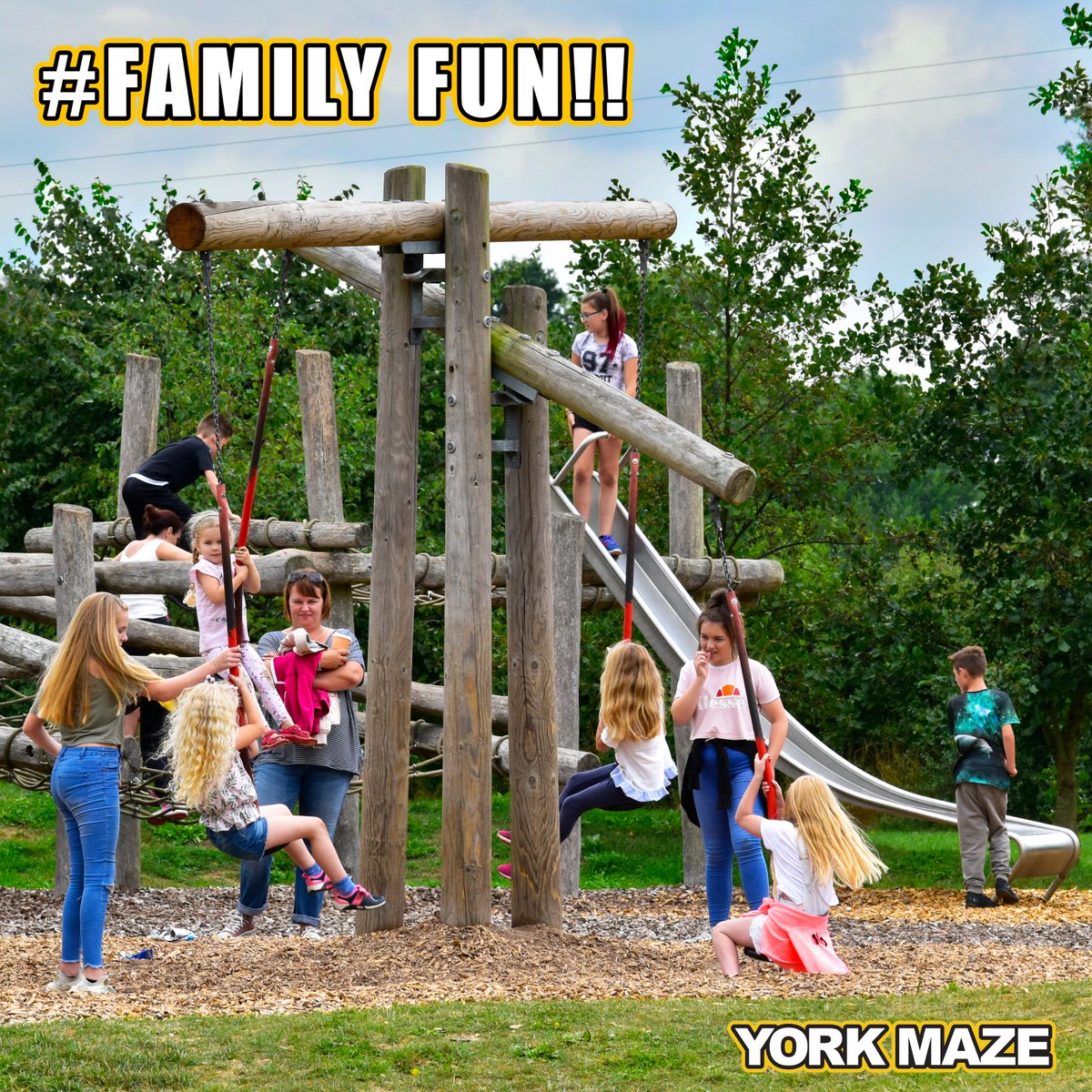 York Maze - Home