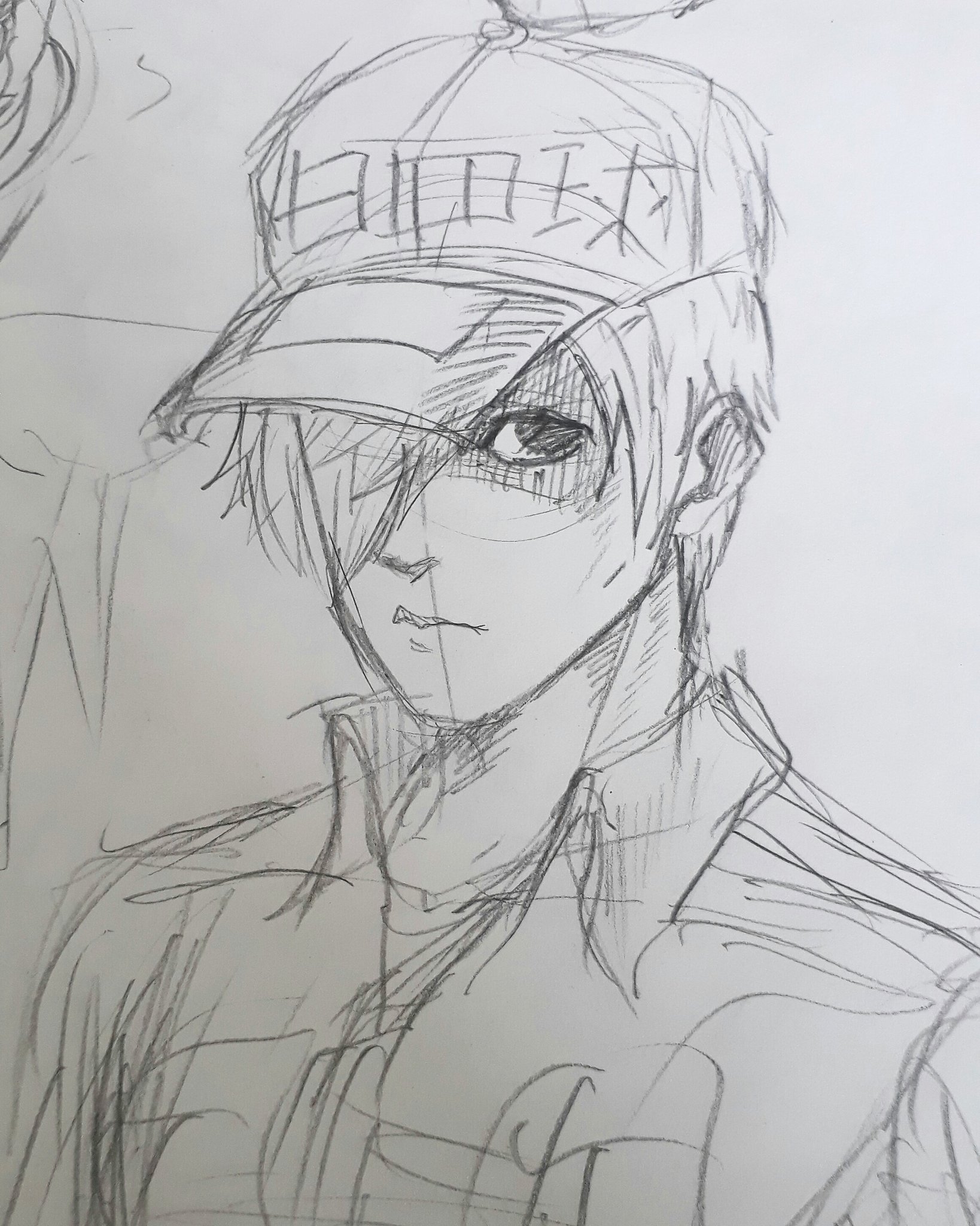 White Blood Cell Drawing