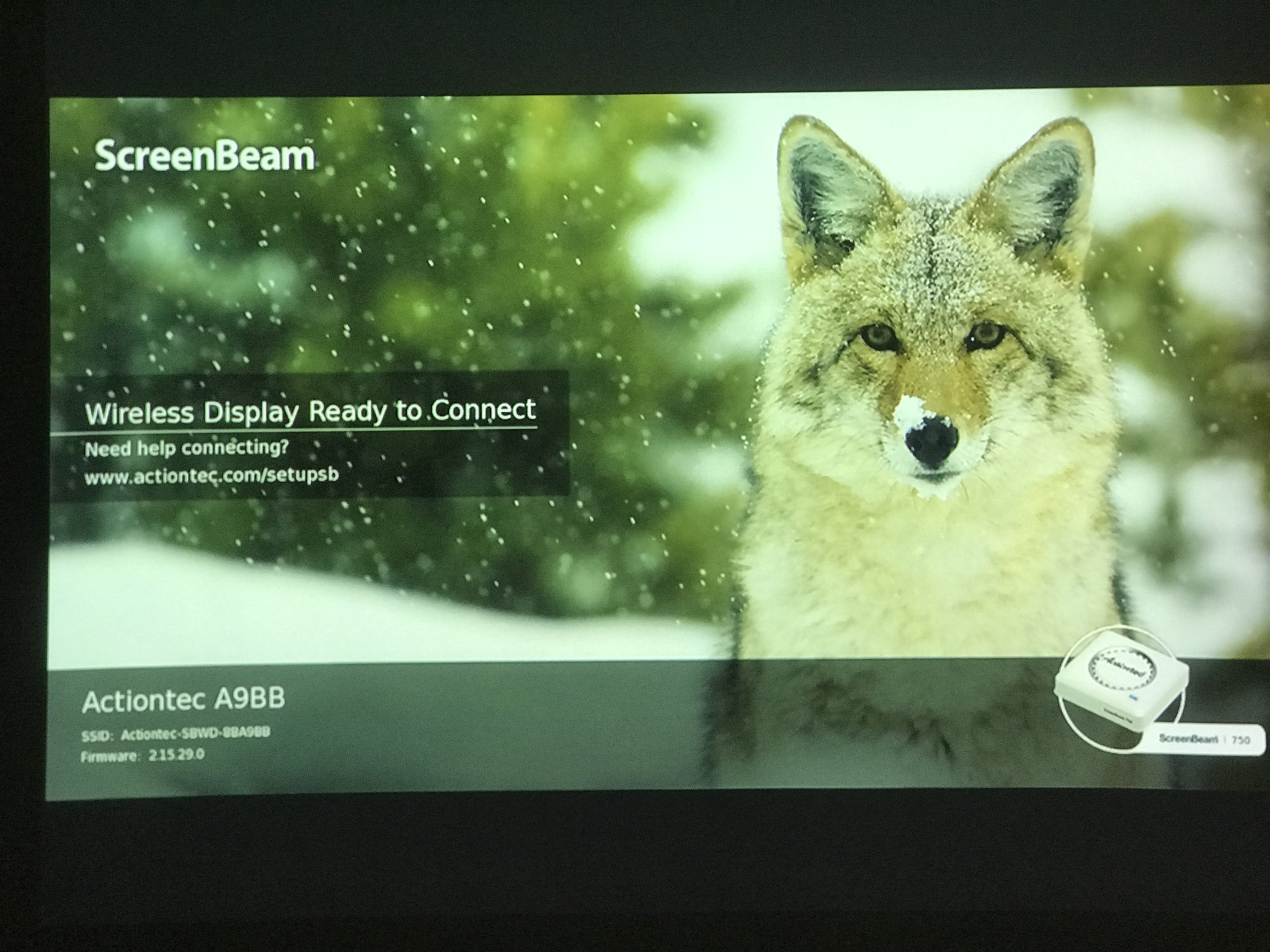 David Prindle on Twitter: "The @ScreenBeam is ready and wait for students. #classroomagility # ...