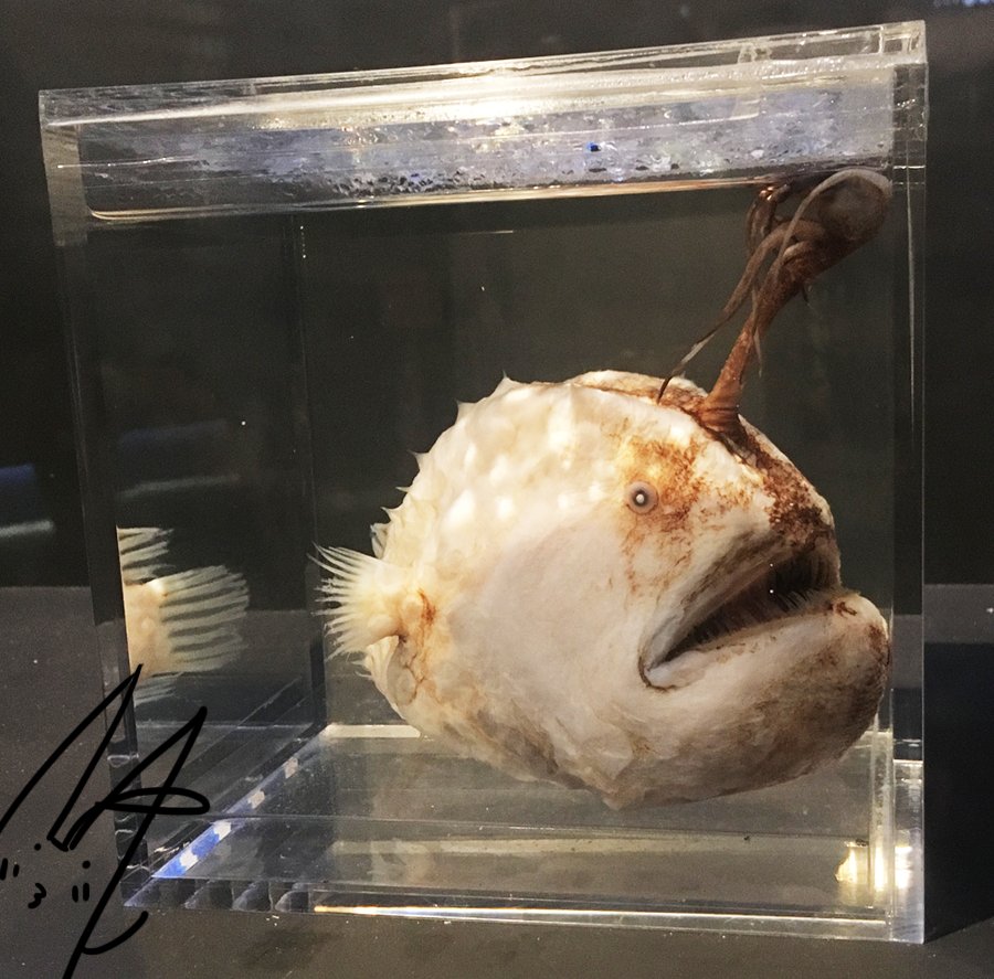 リゼロ「メロンブックス様にてC94新刊「レムのあるわけがない日常」の通販予約が始まりまし」未那琉🧋C106(土)東C-25bの漫画