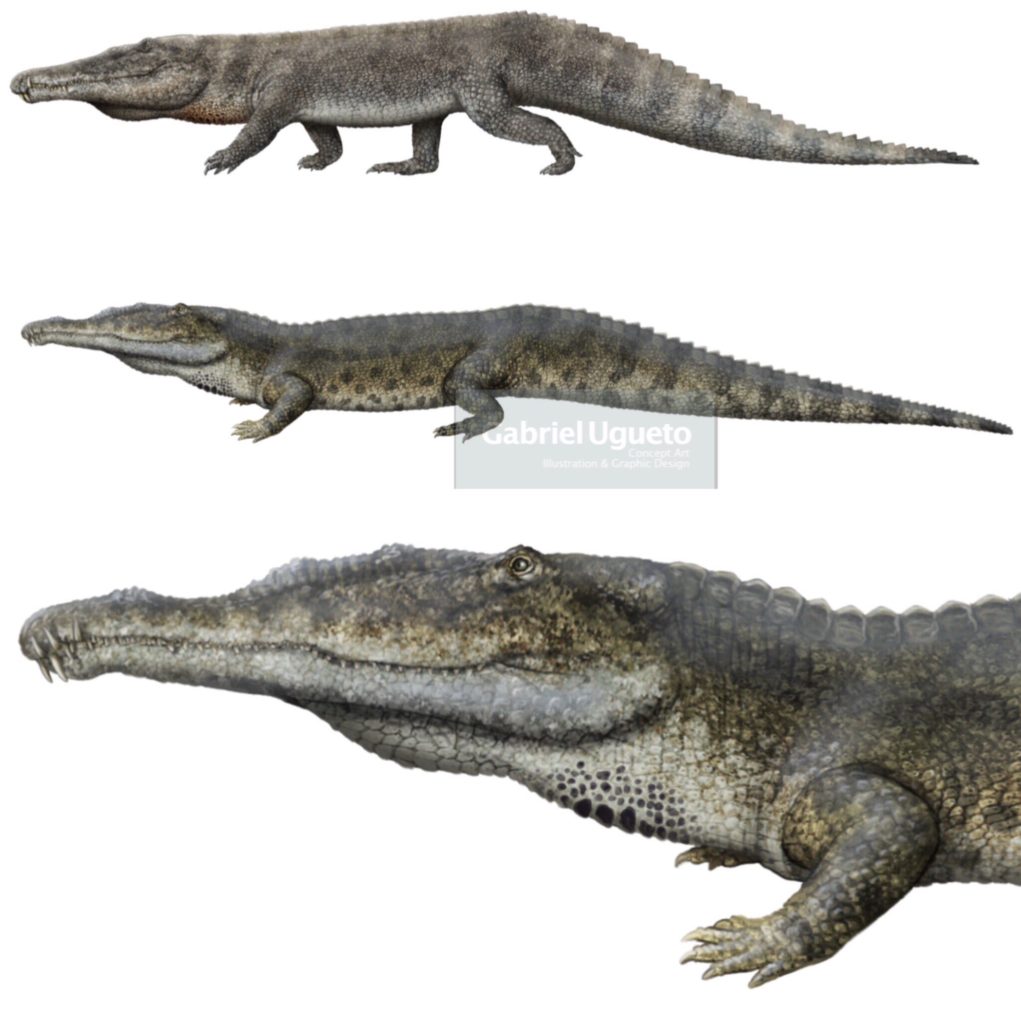 Triassic Crocodiles