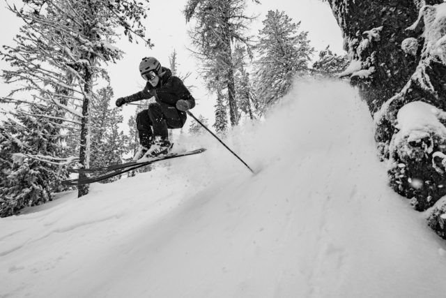 Danielle Rees (@daniellerees) | Twitter