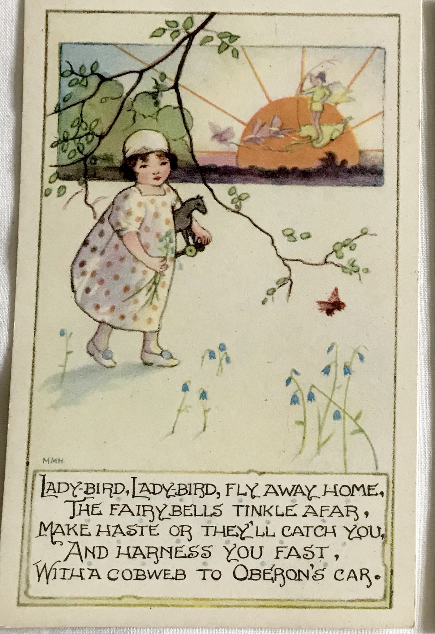 Fly Away Home