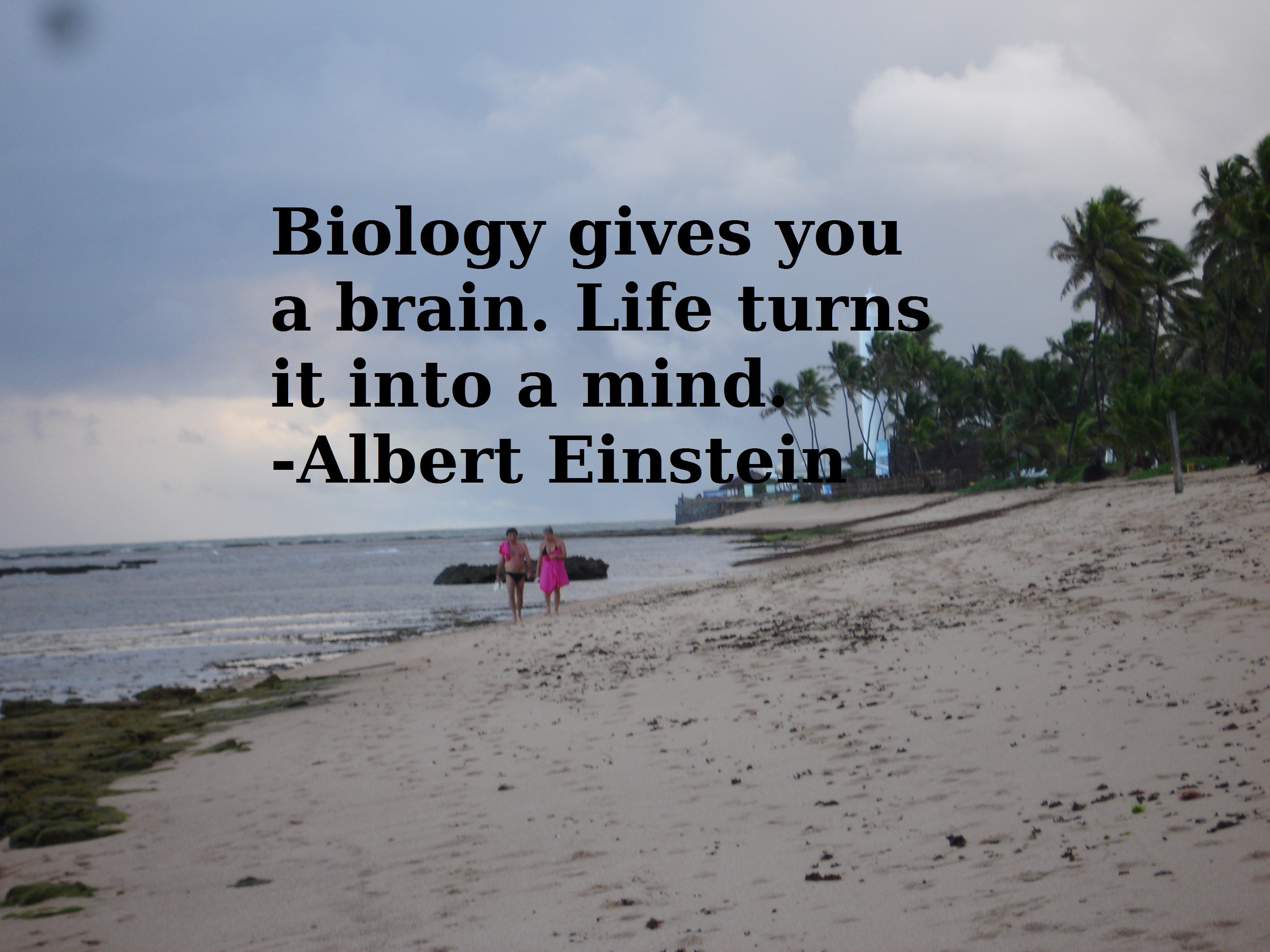Biology Motivational Quotes