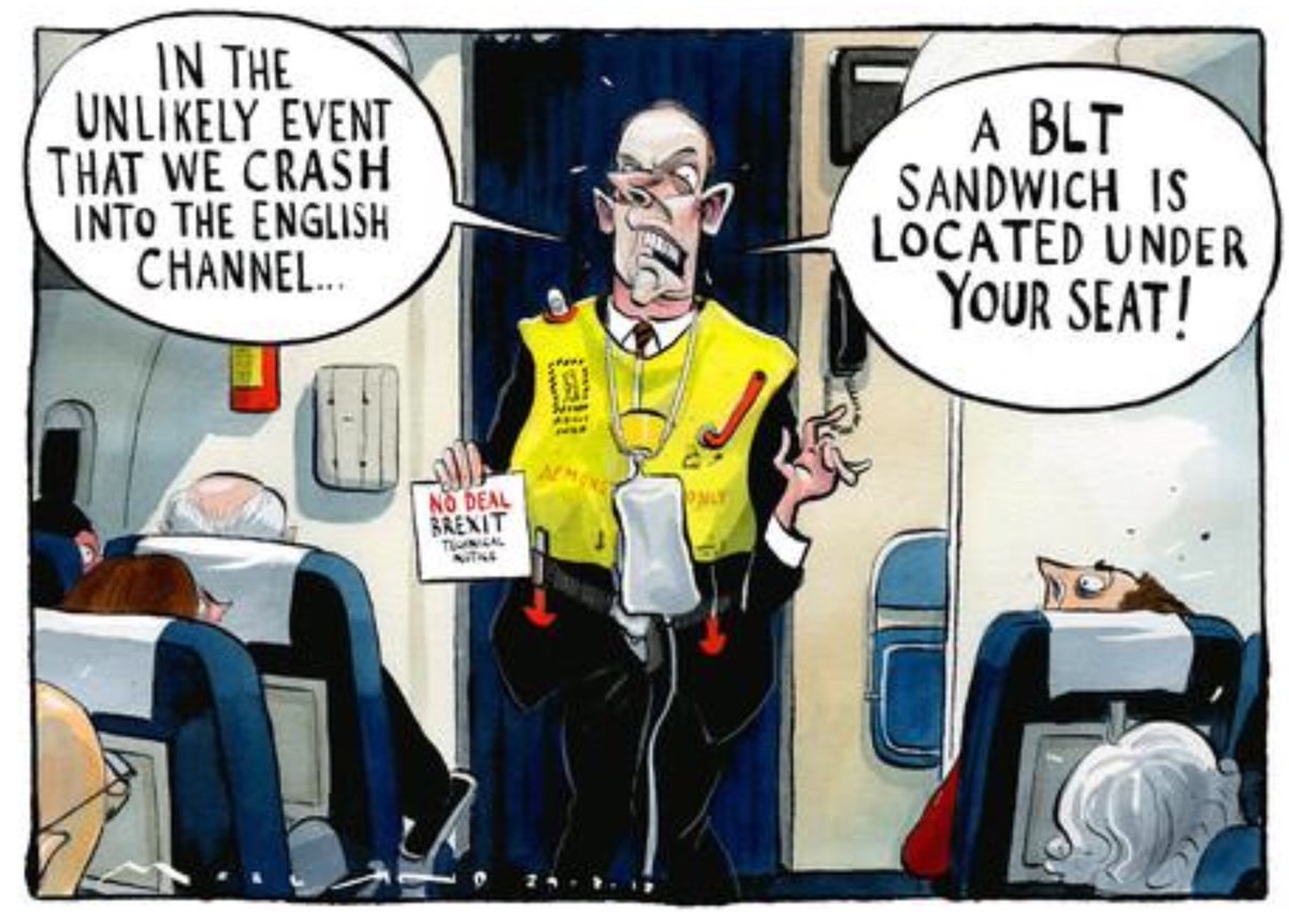 Morland on Dominic Raab revealing his No Deal Brexit scenario [Cartoon ...