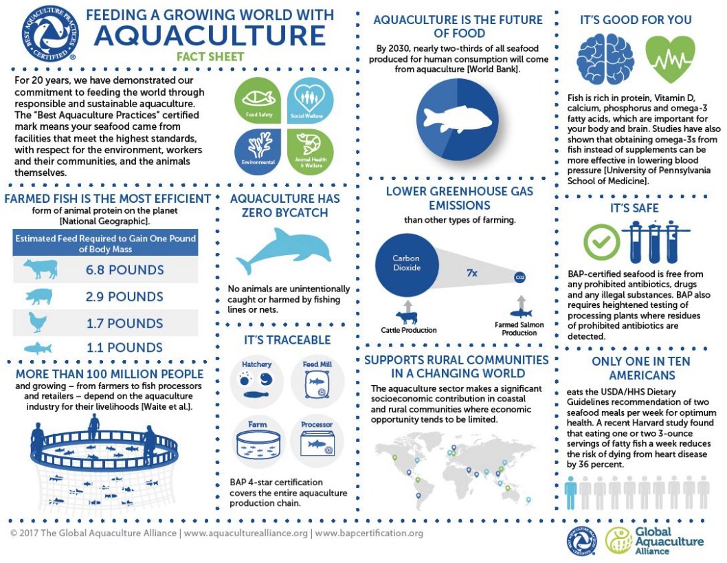 Sustainable Seafood Infographic