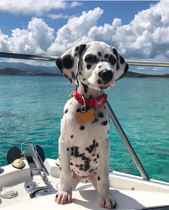 CAPTURE BIZARRE 👁 on Twitter: