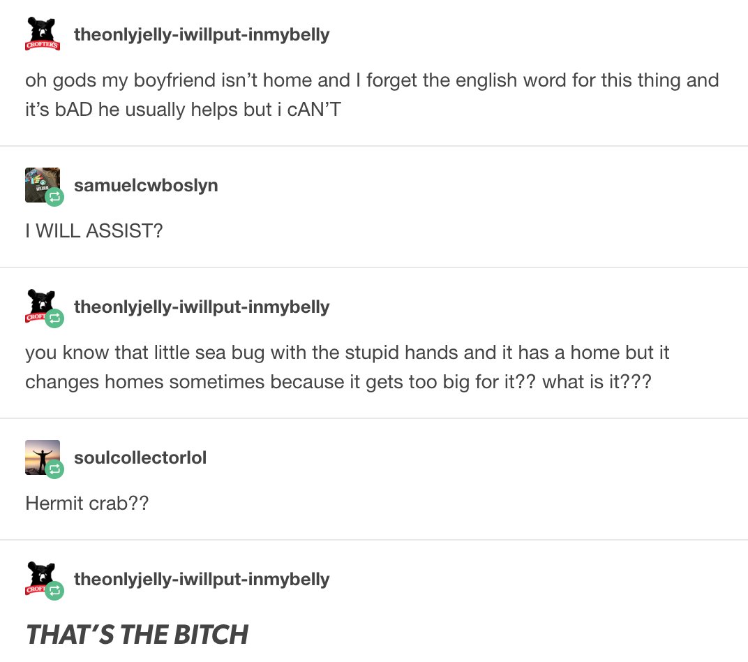 Funny Boyfriend Tumblr