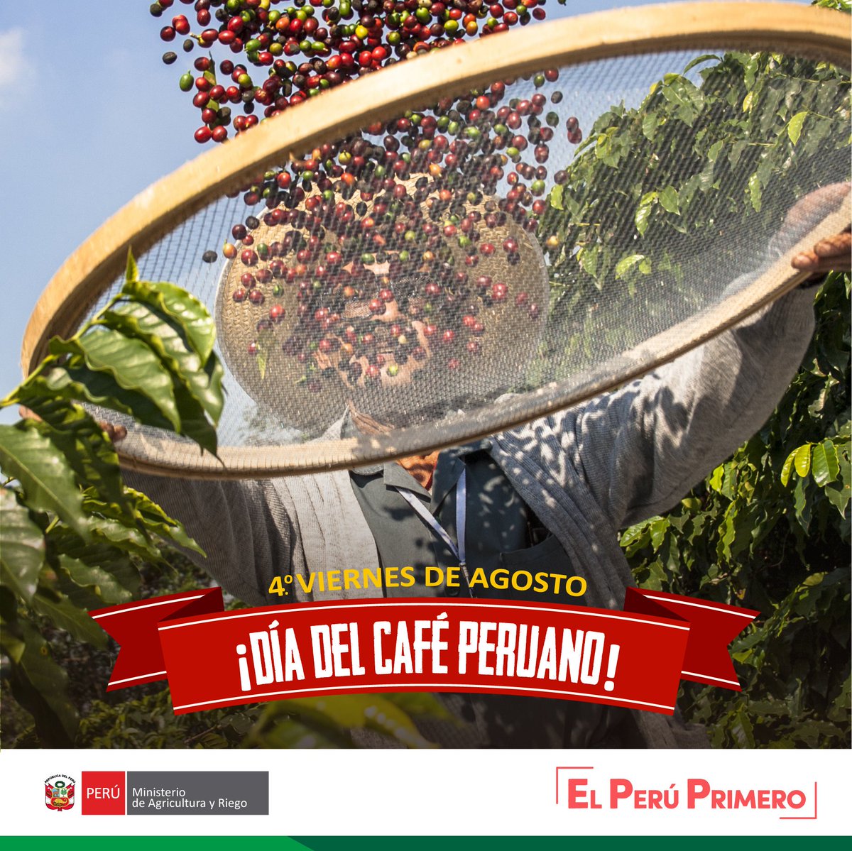 4° viernes de agosto. Día del Café Peruano – Sociología en la Red de la ...